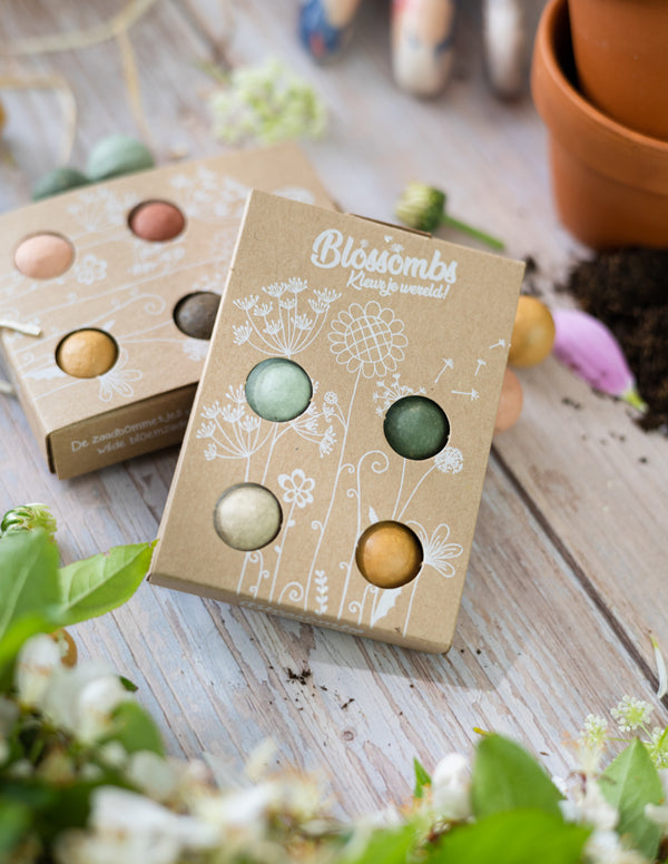 Blossombs Semínkové bomby - Dárková sada mini (4 ks) – Econea.cz